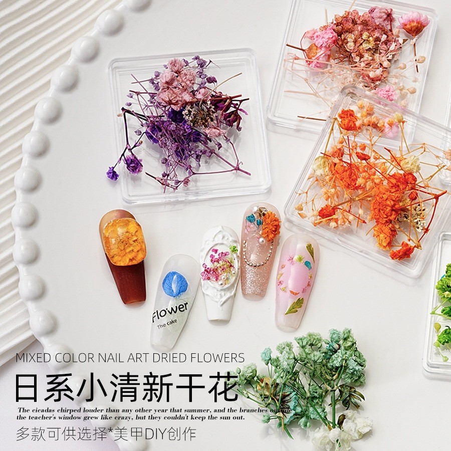 Jual BUUBUU-AKSESORIS KUKU BUNGA KERING WARNA WARNI - AKSESORIS NAIL ART BUNGA KERING | Shopee ...