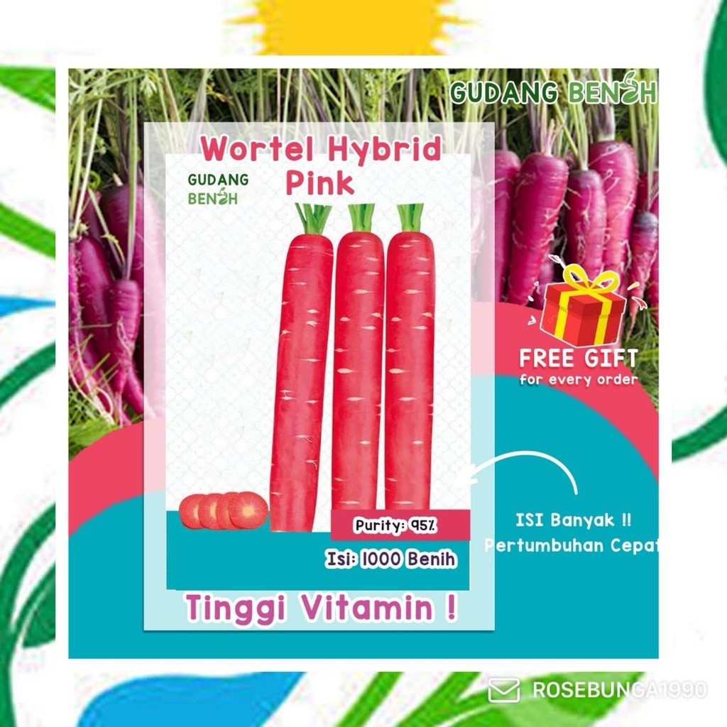 Jual Bibit Wortel Hybrid Pink Isi 1000 Benih (RETAIL PACK) -DE'94 ...