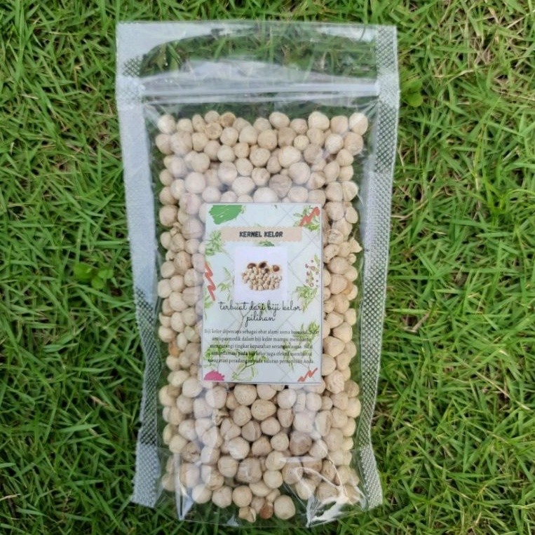Jual Biji Kernel Kelor Moringa isi 100 Gram Kupas Kupasan | Shopee ...