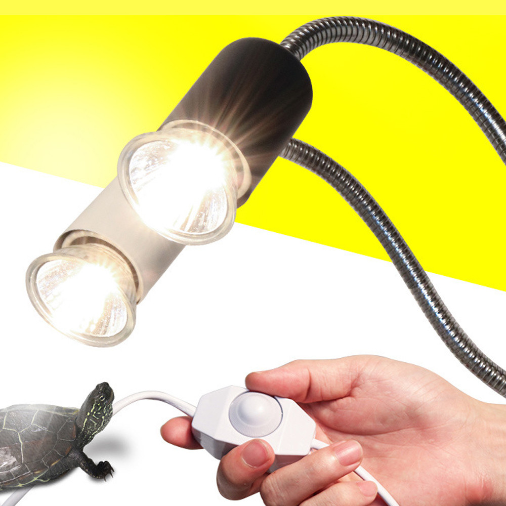 Jual UVA+UVB 3.0 Reptile Lamp Set Clip-on Lamp Holder Bulb Thermometer Hygrometer Turtle ...