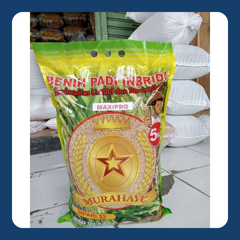 Jual Benih padi Inpari 32 Maxipro berkualitas bersertifikat kemasan 5kg | Shopee Indonesia