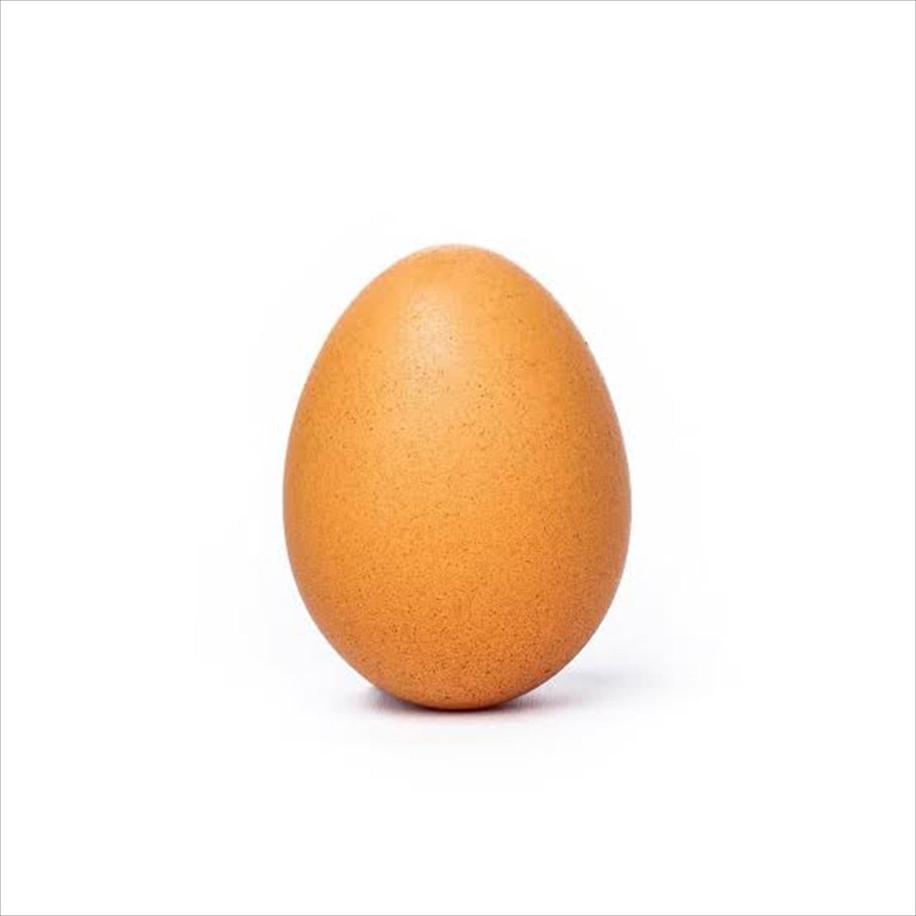 Jual TELUR AYAM RAS FRESH BARU HARIAN PASAR (1 BUTIR) | Shopee Indonesia