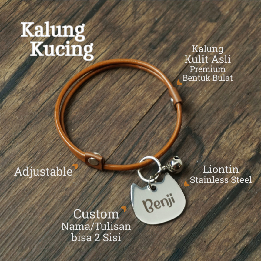 Jual ER34ED Kalung Kucing Kulit Asli Bulat Custom Nama Liontin Tag ...