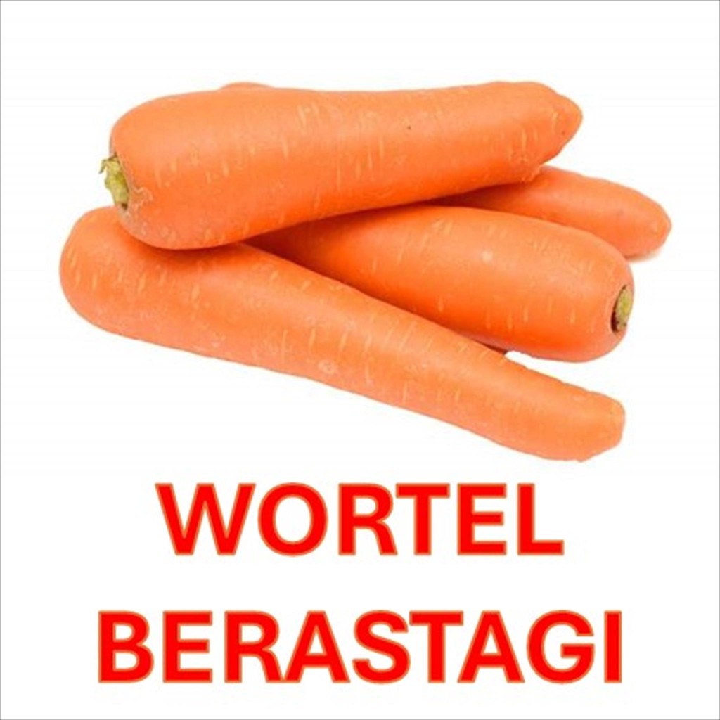 Jual WORTEL / SEGAR / WORTEL BESAR / HARGA PASAR | Shopee Indonesia