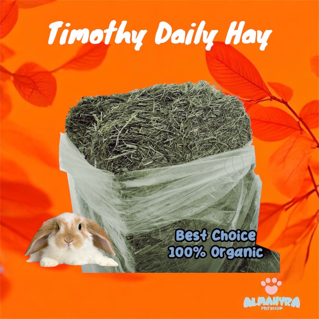 Jual Makanan Kelinci Rumput Daily Timothy Hay Best Choice 100% Organic ...