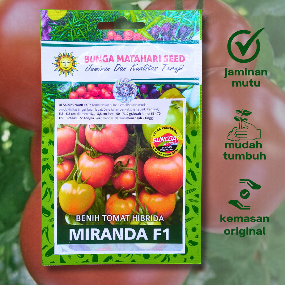 Jual Benih SP Tomat Hibrida MIRANDA F1 isi 200 Biji Bibit Cap Bunga ...