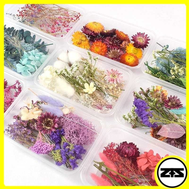 Jual Bunga Kering Natural Aromatherapy Real Dried Flower Resin Art ...