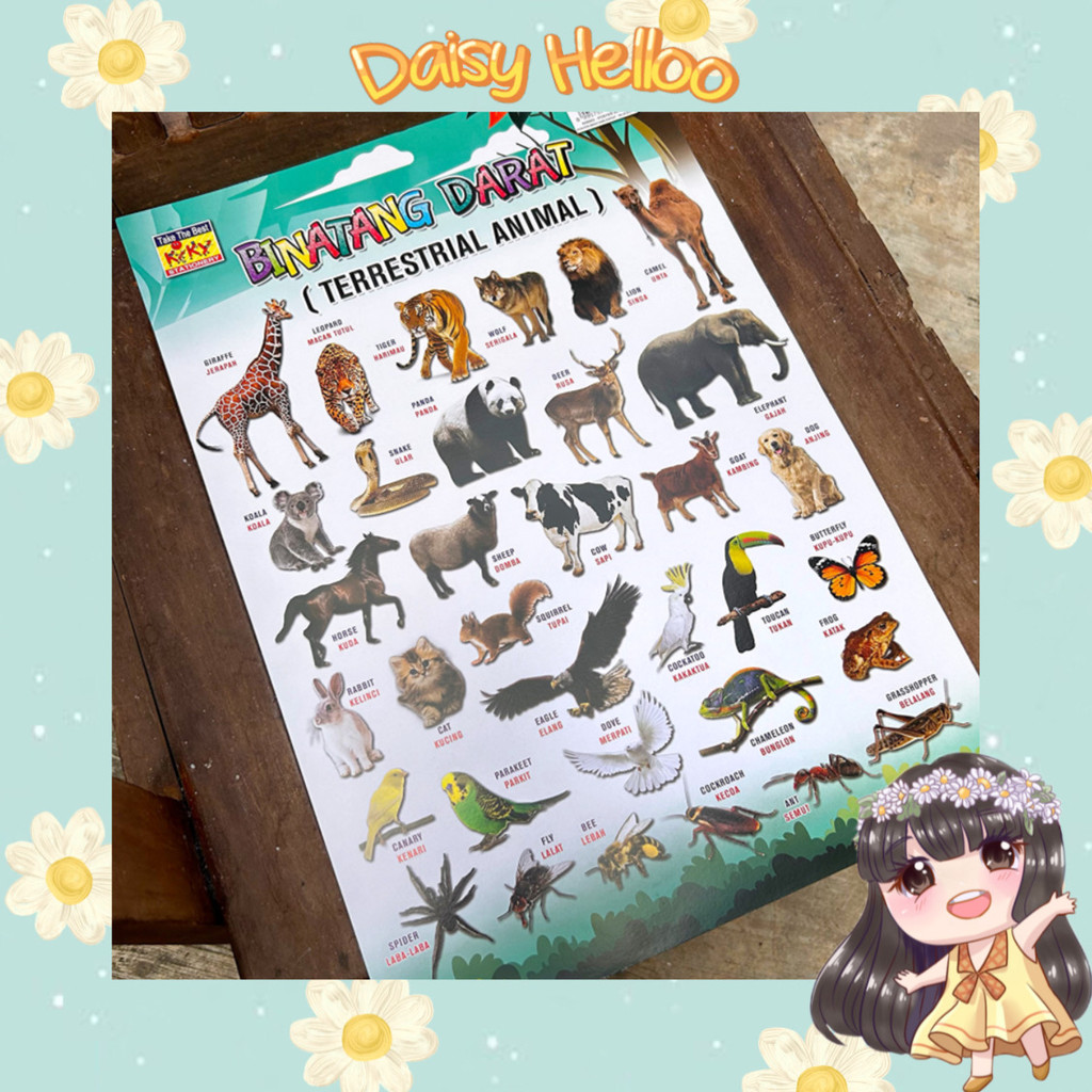 Jual Poster Dinding 30x40 Buah Binatang Transportasi Belajar Benda ...