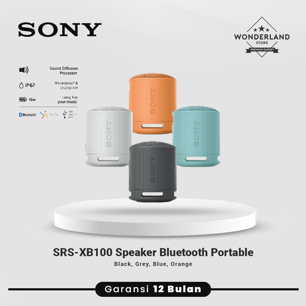 Jual Sony SRS-XB100 Portable Wireless Speaker Bluetooth Extra Super ...