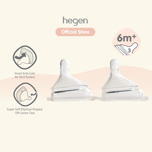 Jual Hegen Teat Fast Flow - 2 - Pack (6 months and beyond) | Shopee ...