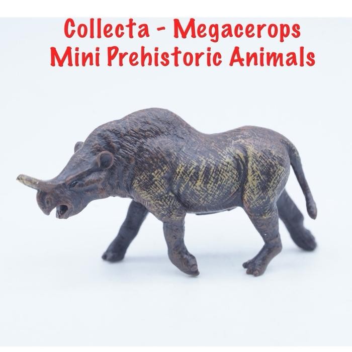Jual Collecta Mini Prehistoric Animals - Megacerops Badak Purba - Small ...