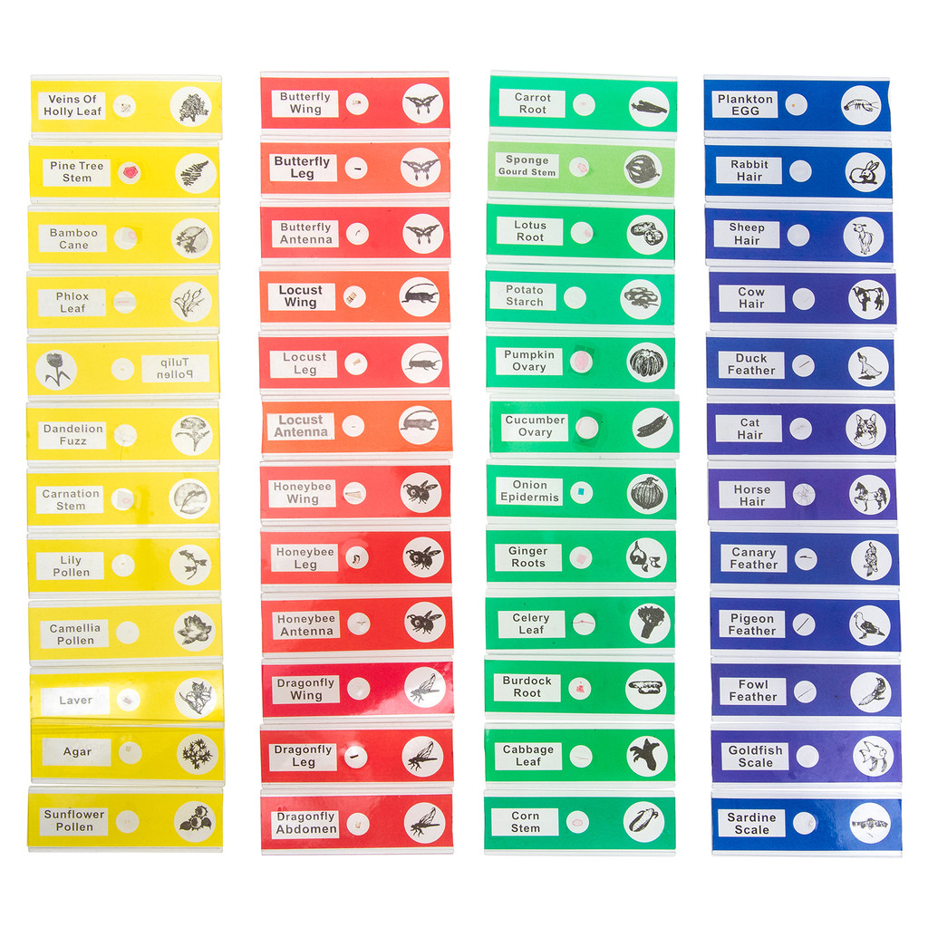 Jual 48 Pcs Microscope Slides Kids Specimen Abs Plastic Biology ...