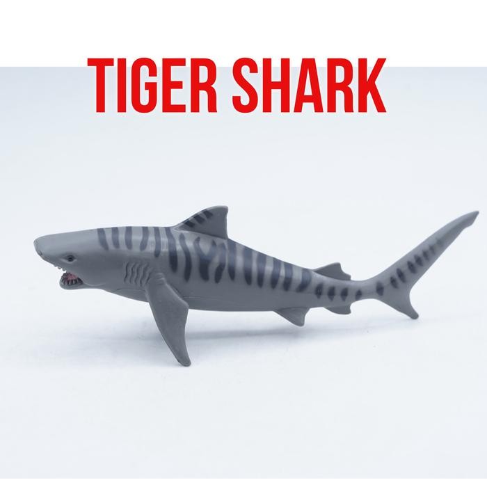Jual Tiger Shark Hiu Macan Galeocerdo Cuvier Mainan Figure Binatang ...