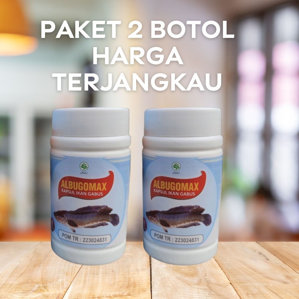 Jual Paket 2 Botol Kapsul ikan gabus albumin kesehatan vipalbumin Luka ...