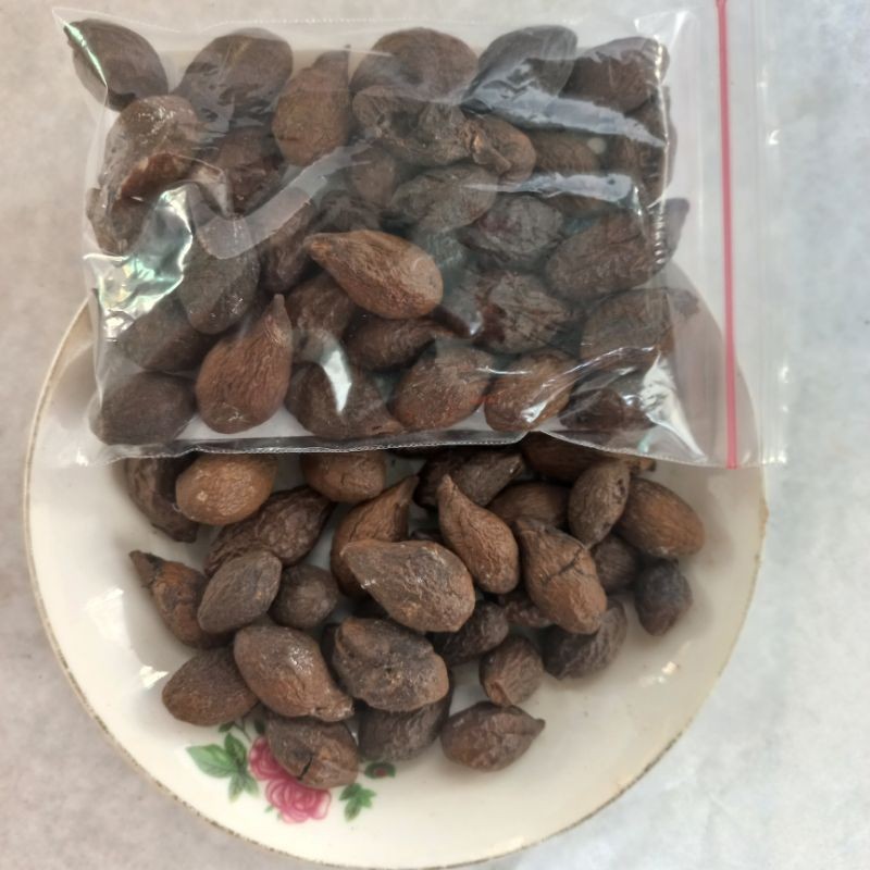 Jual MURAH Buah Tempayang / Kembang Semangkuk 50,100,200gr | Shopee ...