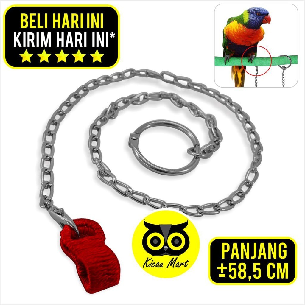 Jual KICAU MART Rantai Kaki Burung Nuri Falk Parkit Parrot Hantu Borgol ...
