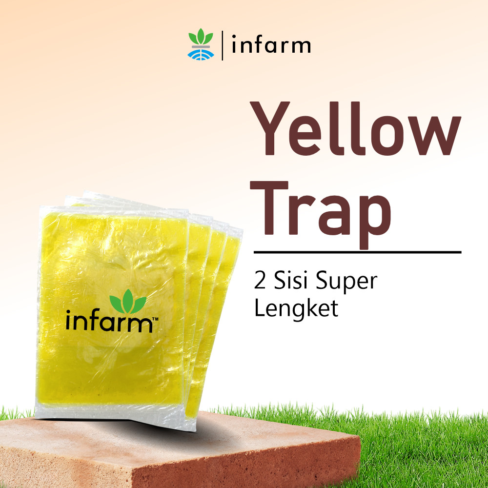 Jual INFARM - Infarm Yellow Trap / Insect Trap / Perangkap Hama / Lem ...