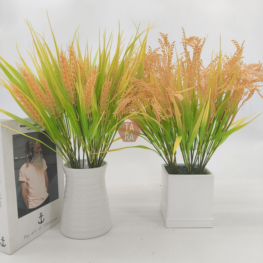 Jual Tumbuhan Artificial Gandum Padi | Shopee Indonesia
