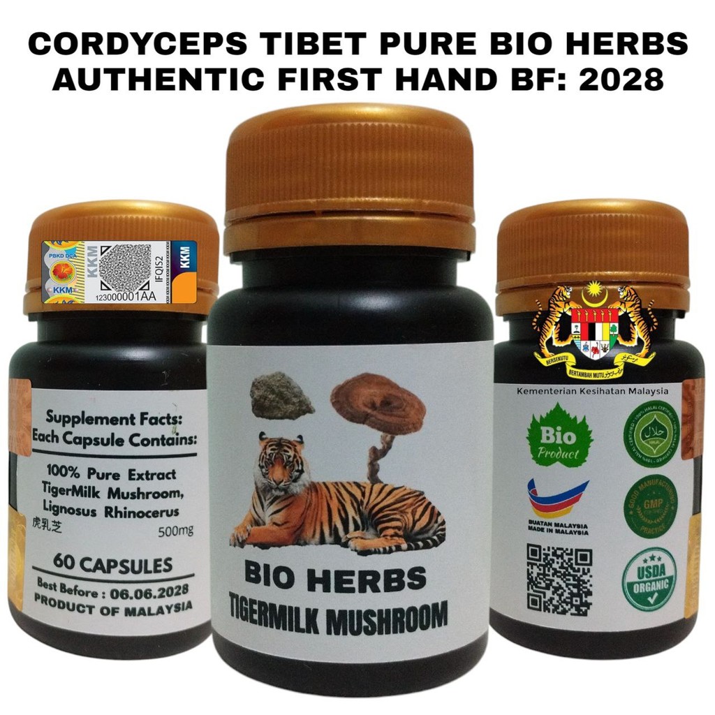 Jual PURE ORIGINAL TIGERMILK MUSHROOM CENDAWAN SUSU HARIMAU EXTRACT BIO ...