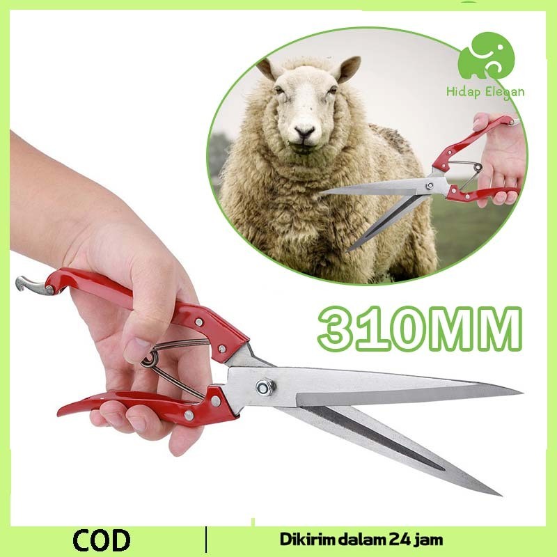 Jual Cukur Bulu Kambing Gunting Cukur Manual Bulu Hewan Domba Kambing ...