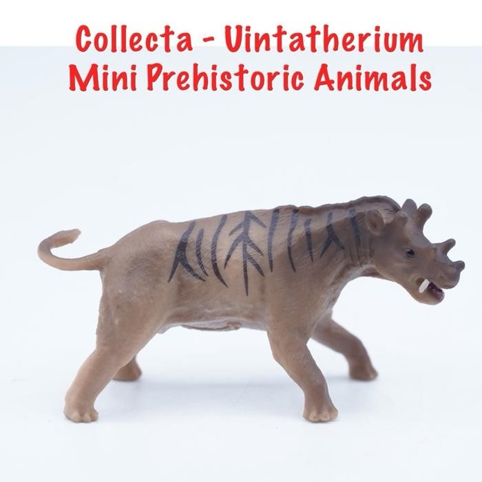 Jual Collecta Mini Prehistoric Animals - Uintatherium - Small Size ...