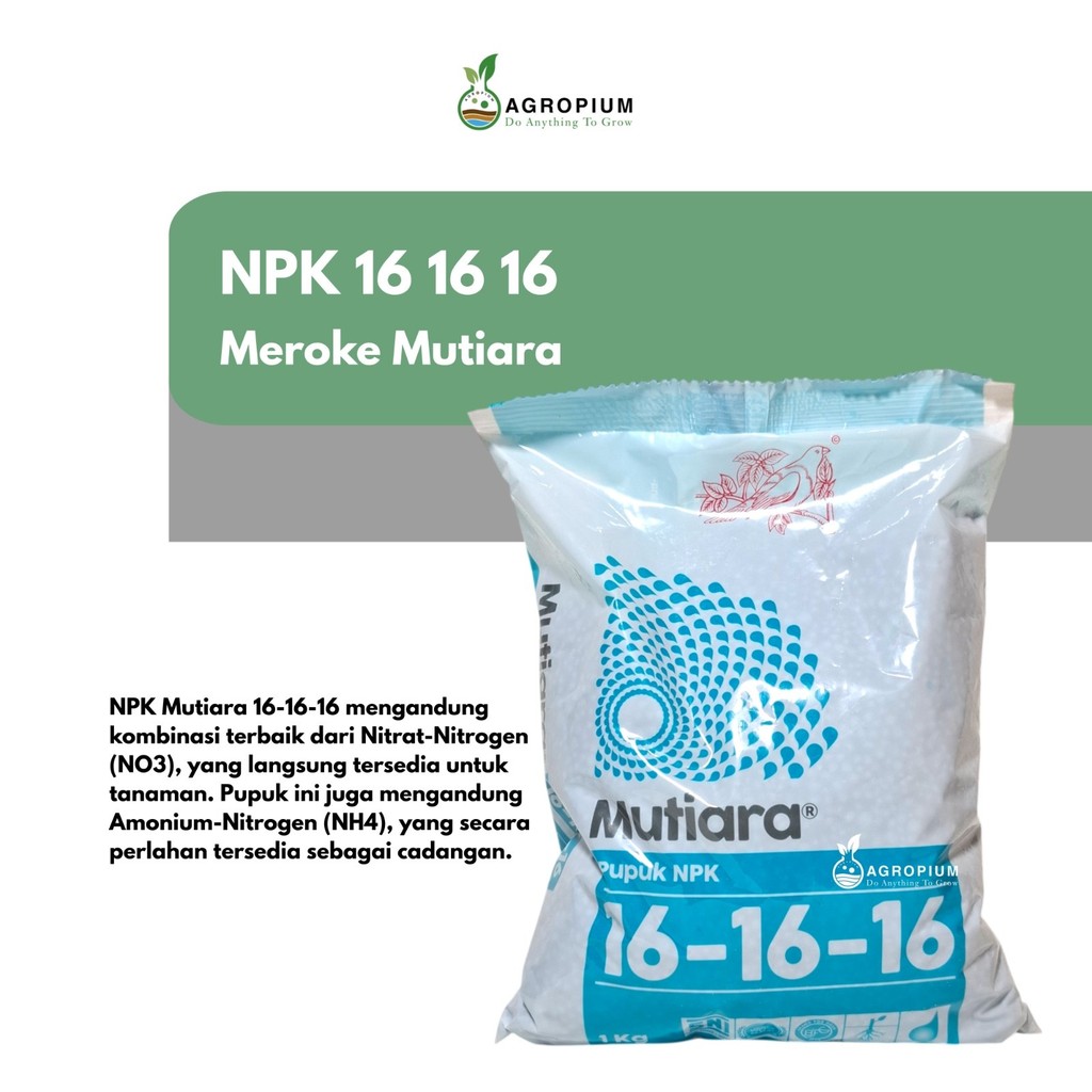 Jual Pupuk Meroke NPK MUTIARA 16-16-16 1 Kg Kemasan Pabrik | Shopee Indonesia