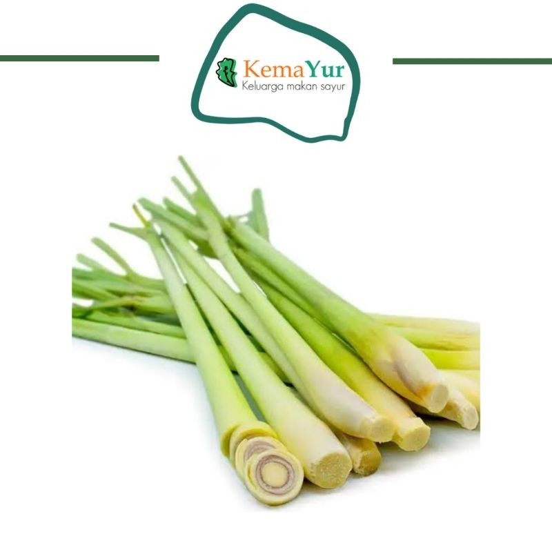 Jual Sereh Serai Daun Serai Daun Sereh Rempah Resep JSR 1 Ikat Serai ...