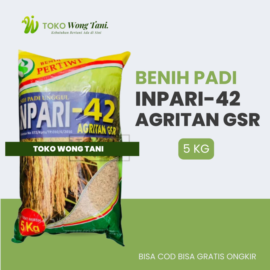Jual Benih Padi INPARI 42 GSR 5kg BENIH PERTIWI Unggul Tahan Wereng dan ...