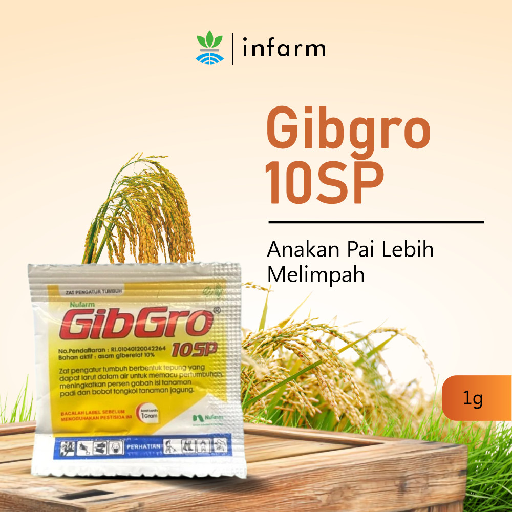 Jual INFARM - Gibgro 10 SP 1 Gram Zat Pengatur Tumbuh Hormon Booster ...