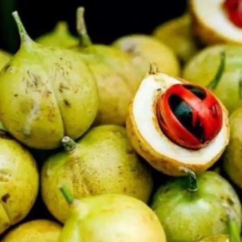 Jual 1-Kg Buah Pala Tua / Bua Pala Muda / Buah Pala Segar ready ...