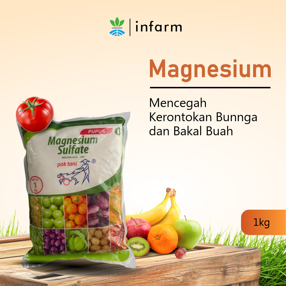 Jual INFARM - Pupuk Magnesium Sulfate 1 KG Pupuk Magnesium Sulfur Pupuk ...