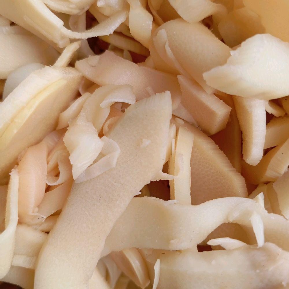 Jual Rebung Muda Segar - Produk Tersedia | Shopee Indonesia