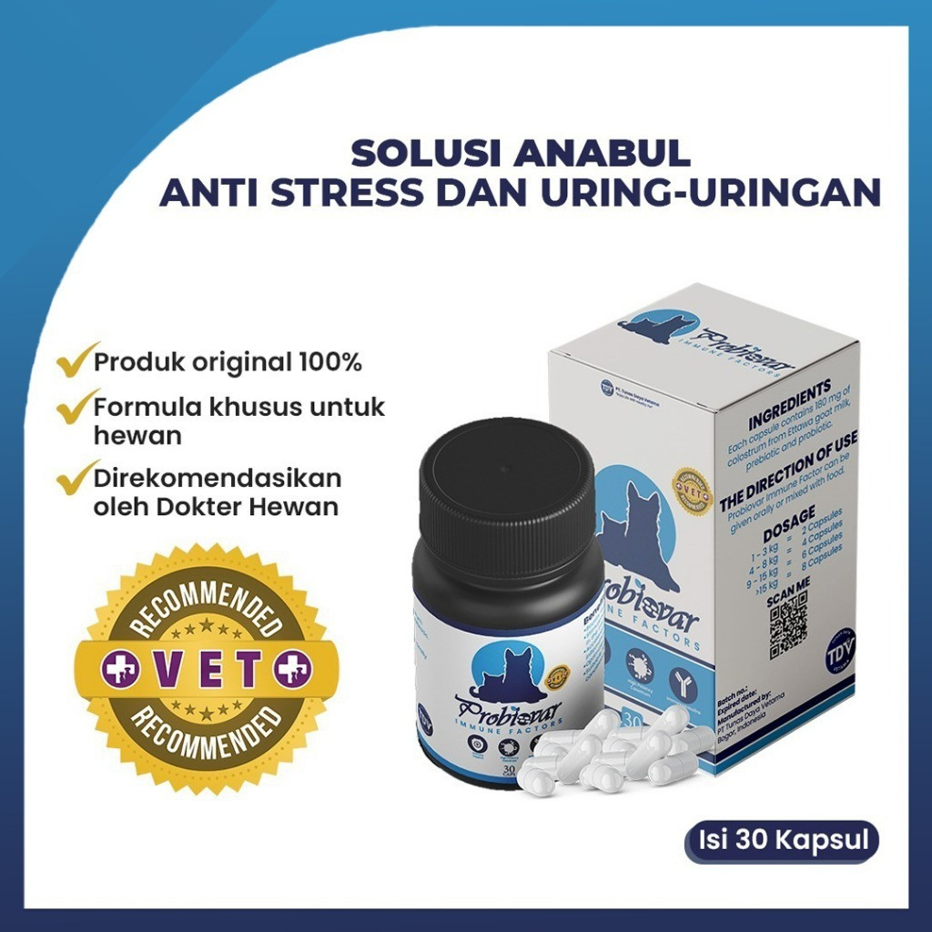 Jual Suplemen imun Kucing Anjing Probiovar Immune Factors Rekomendasi ...