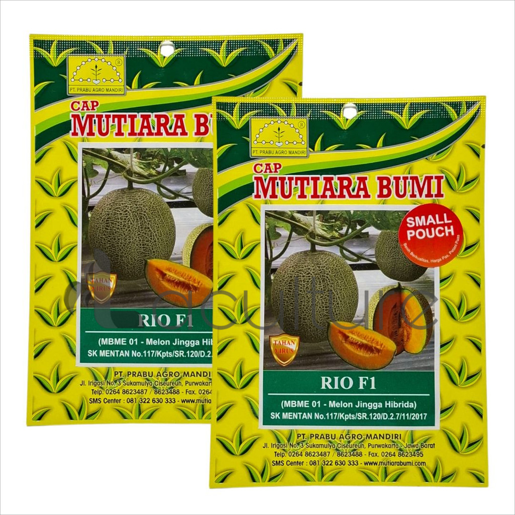 Jual Benih Melon Jingga Hibrida RIO F1 Isi 40 Butir Cap Mutiara Bumi ...