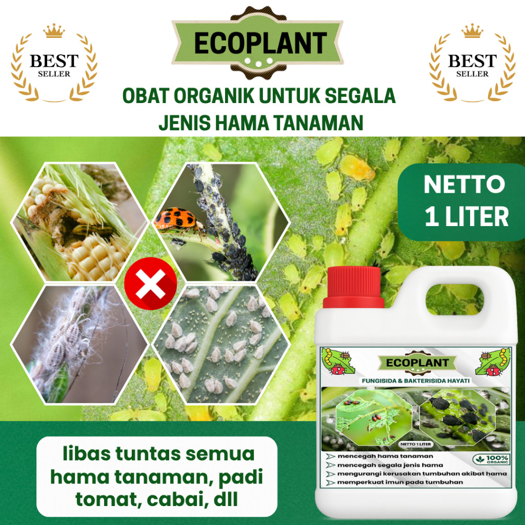 Jual OBAT HAMA ULAT PADI SUNDEP BELUK isi 1000 ML ECOPLANT - Obat Hama ...