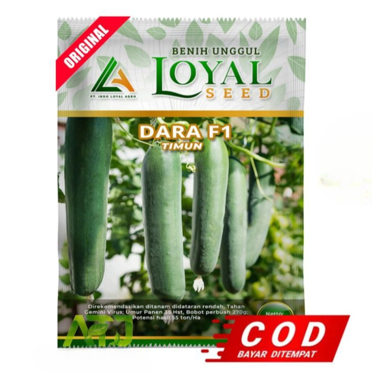 Jual Benih SP Timun DARA F1 isi 80 Biji Bibit Cap Loyal Seed Small ...