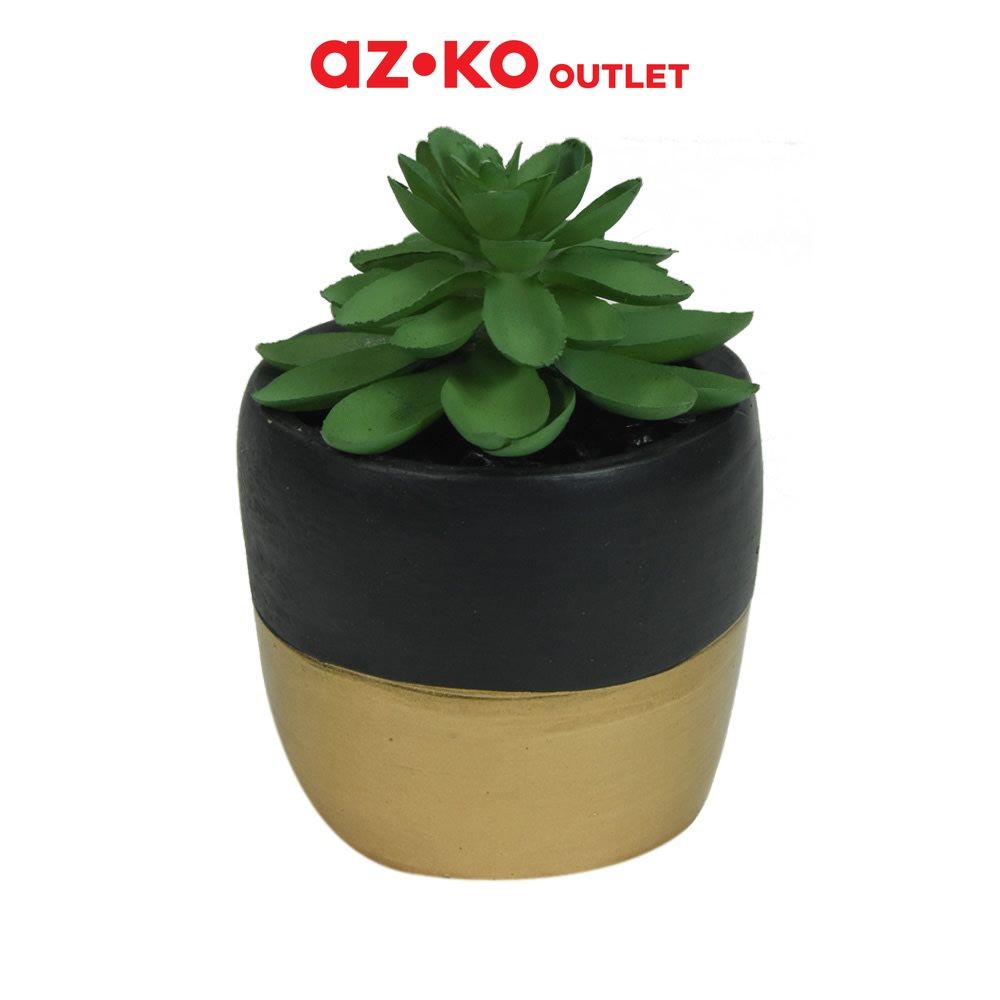 Jual Arthom 13 cm Tanaman Artifisial Succulent Rameria - Hitam Tumbuhan ...