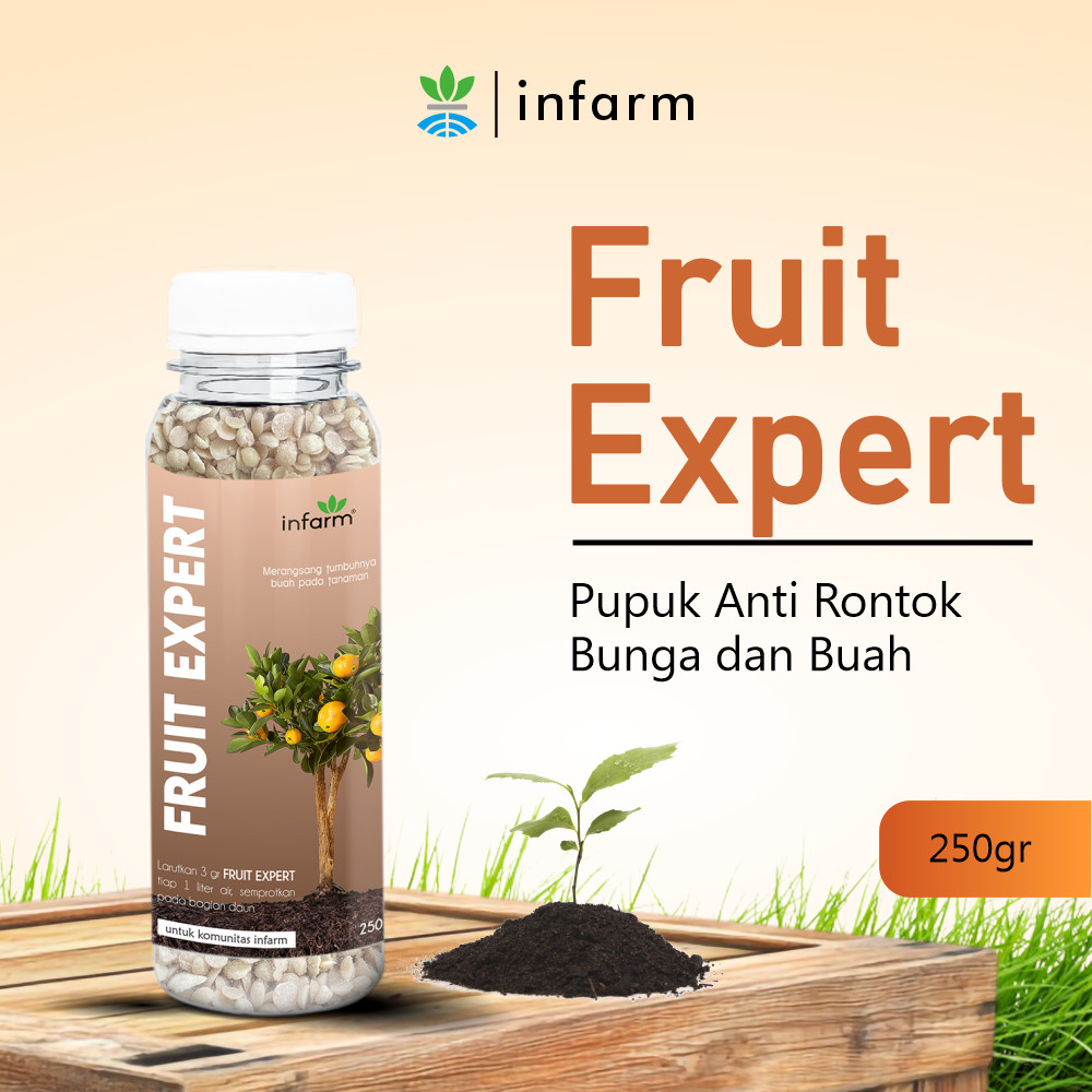 Jual INFARM - Pupuk Fruit Expert 250 gram Asupan Nutrisi Perangsang ...