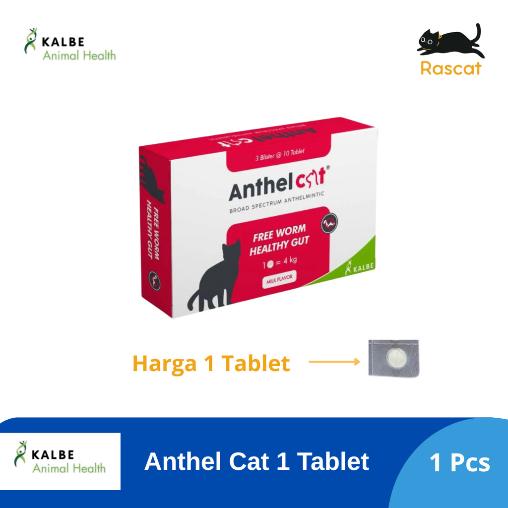 Jual Anthel Cat / Obat Cacing Kucing 1 Tablet / Original Kalbe Animal ...