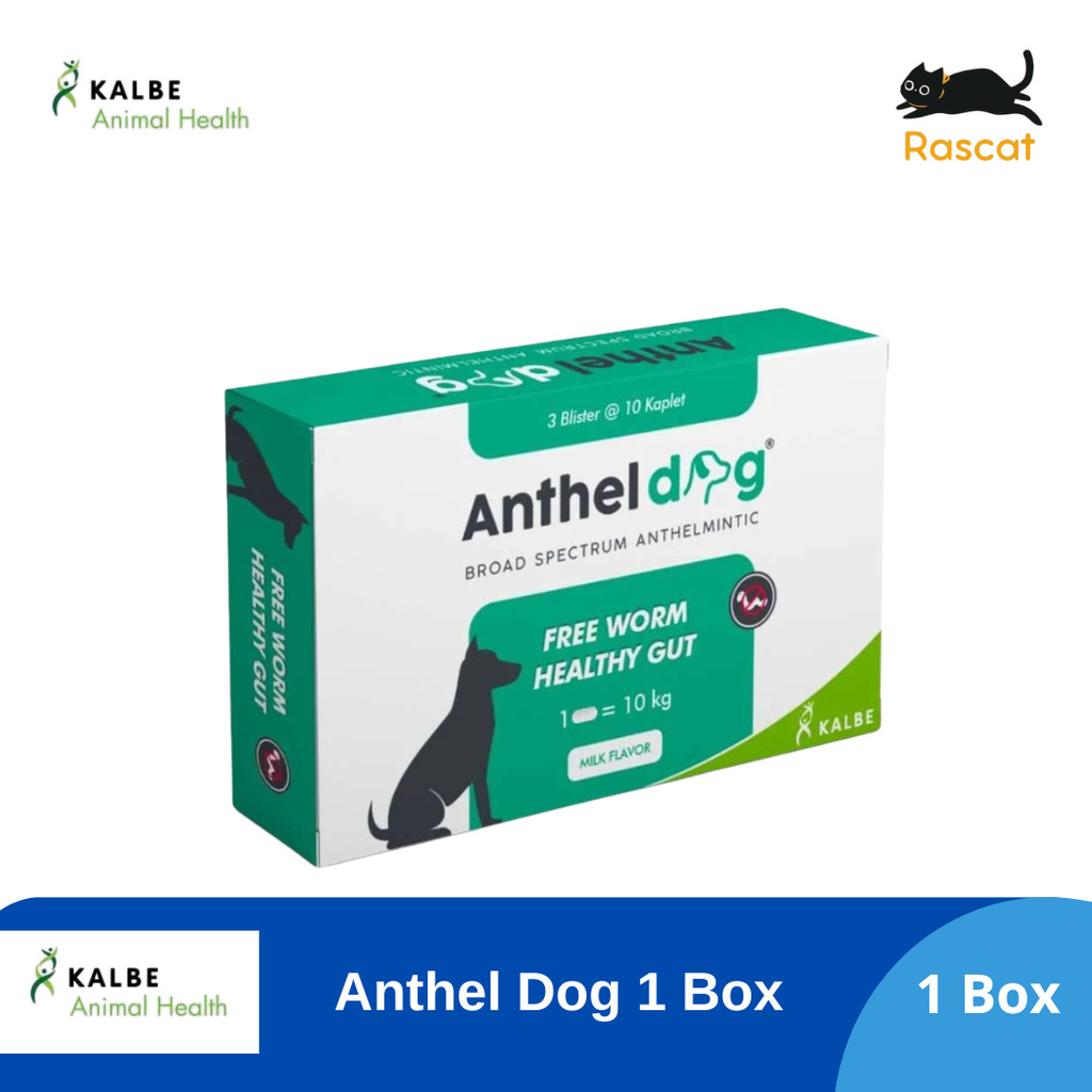 Jual Anthel Dog / Obat Cacing Anjing 1 Box / Original Kalbe Animal ...