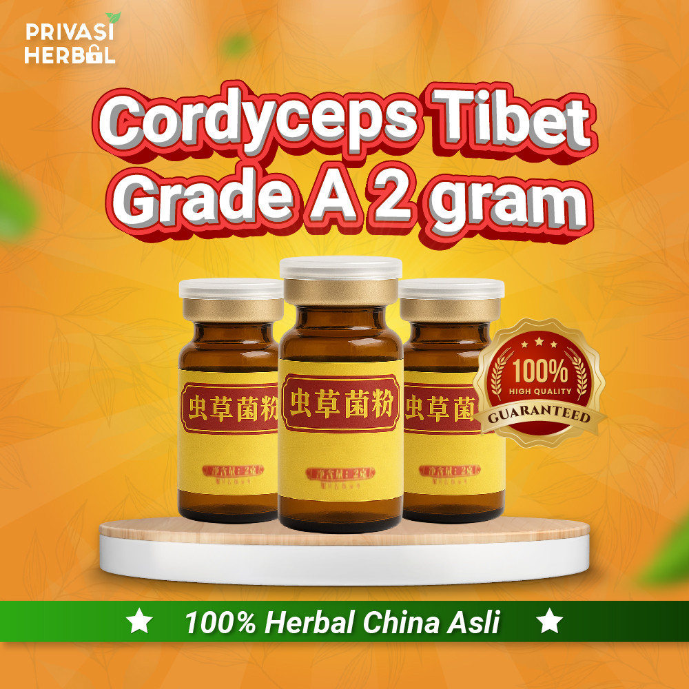 Jual Obat Herbal Tradisional China Cordyceps Premium untuk gagal ...