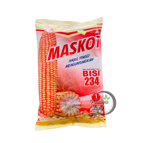Jual Benih Jagung Bisi 234 Maskot 1Kg Original Tahan Bulai dan Busuk ...