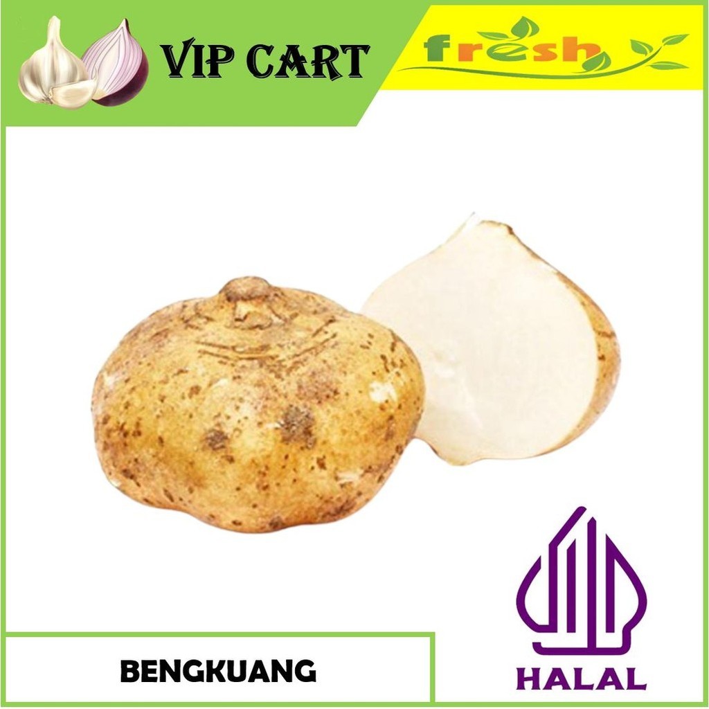Jual bengkuang bengkoang 1 kg | Shopee Indonesia