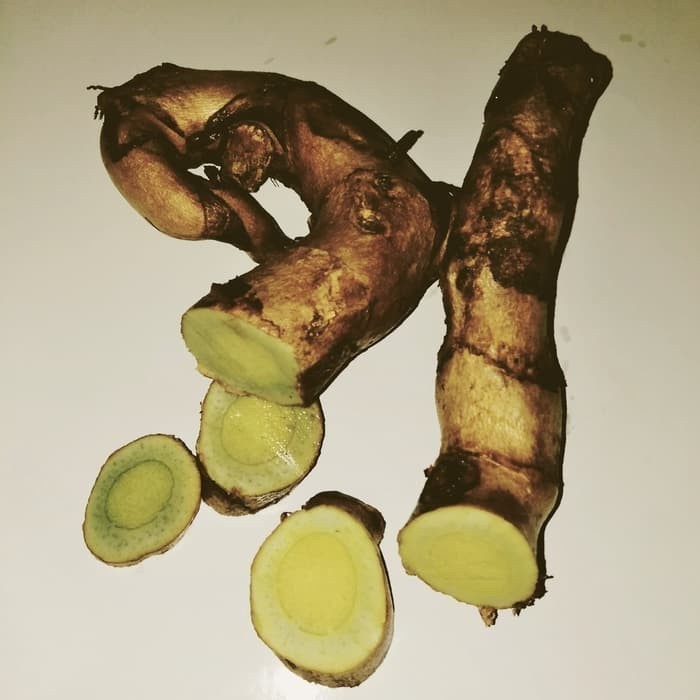 Jual Temu ireng segar - temu hitam freh 500 gram SRH (R-S) | Shopee ...