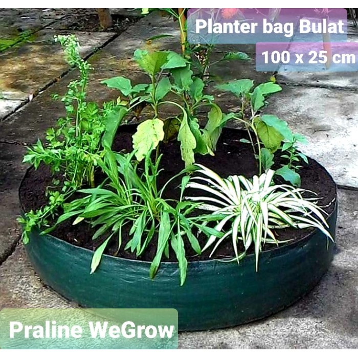 Jual Planter Bag Tanaman Bulat 100 x 25 cm Pot Planter Easy Grow ...