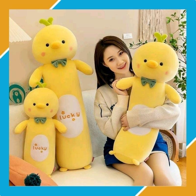 Jual RUMAH BONEKA Boneka Guling Bebek Piyo Lucky Ukuran 60Cm Dan 80Cm ...