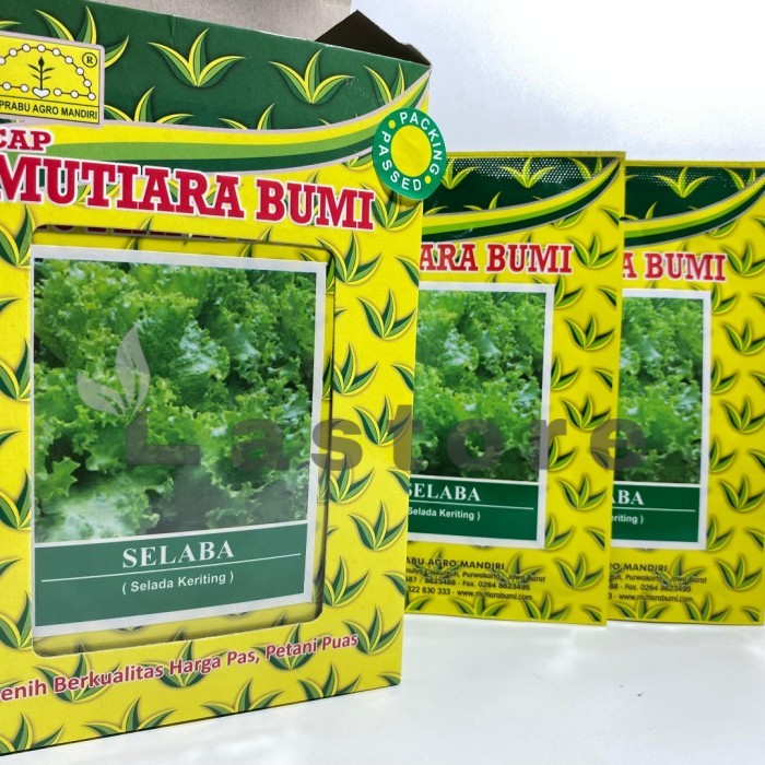 Jual BENIH SELADA KERITING HIJAU RAPIDS SELABA 15 GRAM CAP MUTIARA BUMI ...