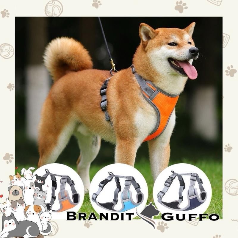 Jual Harness vest anjing kucing harness kucing rompi hewan dog vest dog ...