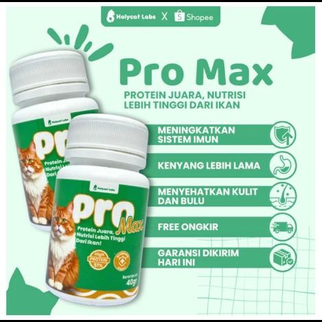 Jual HOLYCATLABS PROMAX PROTEIN TINGGI 40GR - Vitamin Tinggi Protein ...