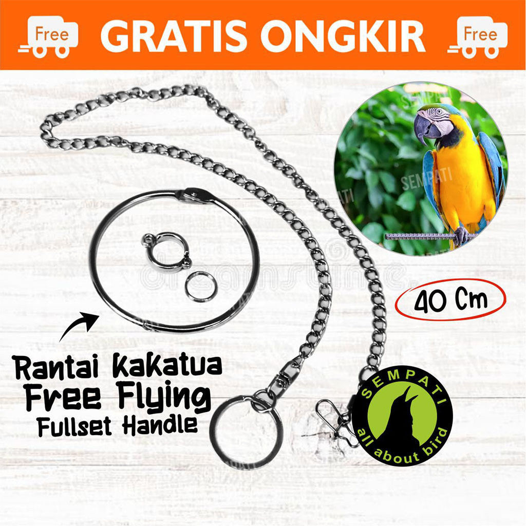 Jual SEMPATI RANTAI FREE FLYING 12 MM BORGOL RING IMPORT RANTAI UMBARAN ...